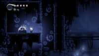 Hollow Knight Forgotten Crossroads Guide - Hold To Reset