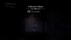Hollow Knight Forgotten Crossroads Guide - Hold To Reset