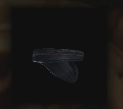 High Rank Armor List: Alpha and Beta Sets - Monster Hunter World - Hold ...