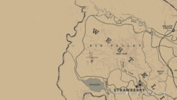 Legendary Animals Map in Red Dead Redemption 2 - Hold To Reset