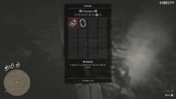 Where to Find Meteorites in Red Dead Redemption 2 - Hold to Reset