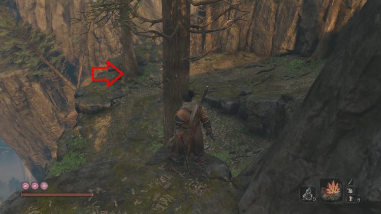 What to Do With Kotaro in Sekiro: Shadows Die Twice - Hold To Reset