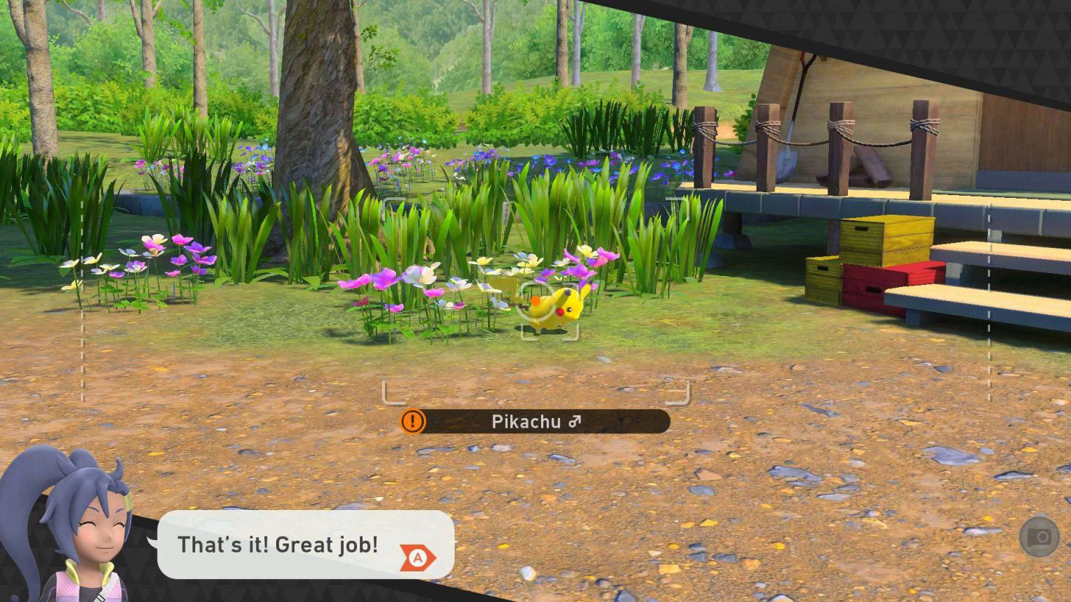 New Pokemon Snap Tutorial Guide - Hold To Reset