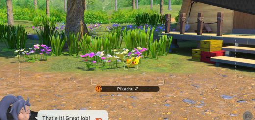 Hoothoot's Hidden Foot Guide - New Pokemon Snap - Hold To Reset