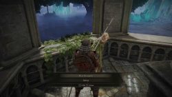 Elden Ring Rya Quest Guide | Hold To Reset