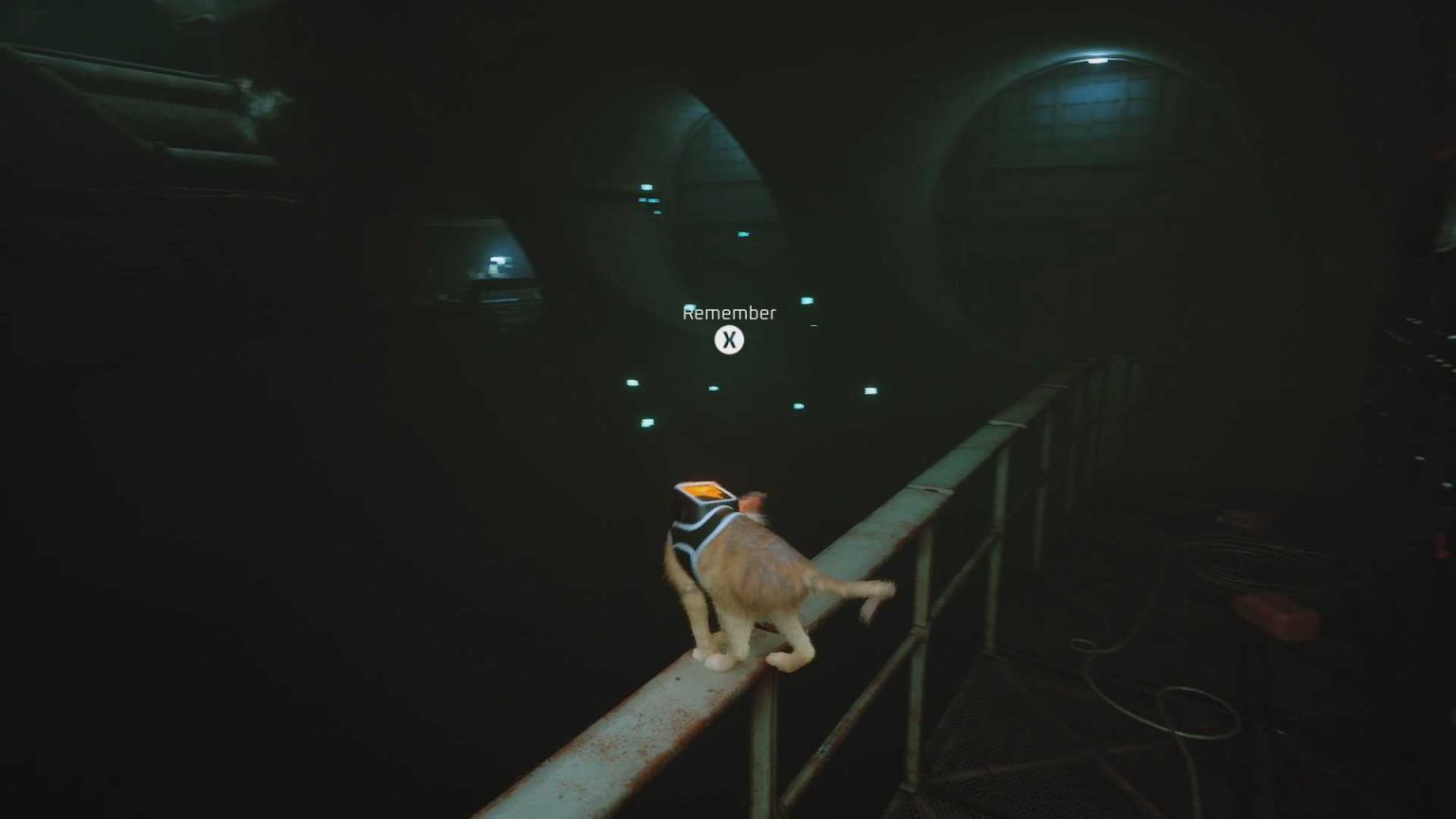 Stray B-12 Memories Locations Guide - Hold To Reset