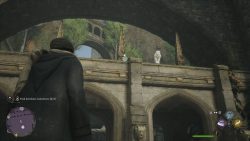 Hogwarts Legacy Gobs of Gobstones Guide | Hold To Reset
