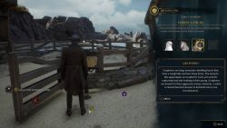 Hogwarts Legacy Graphorn Beast Guide - Hold To Reset