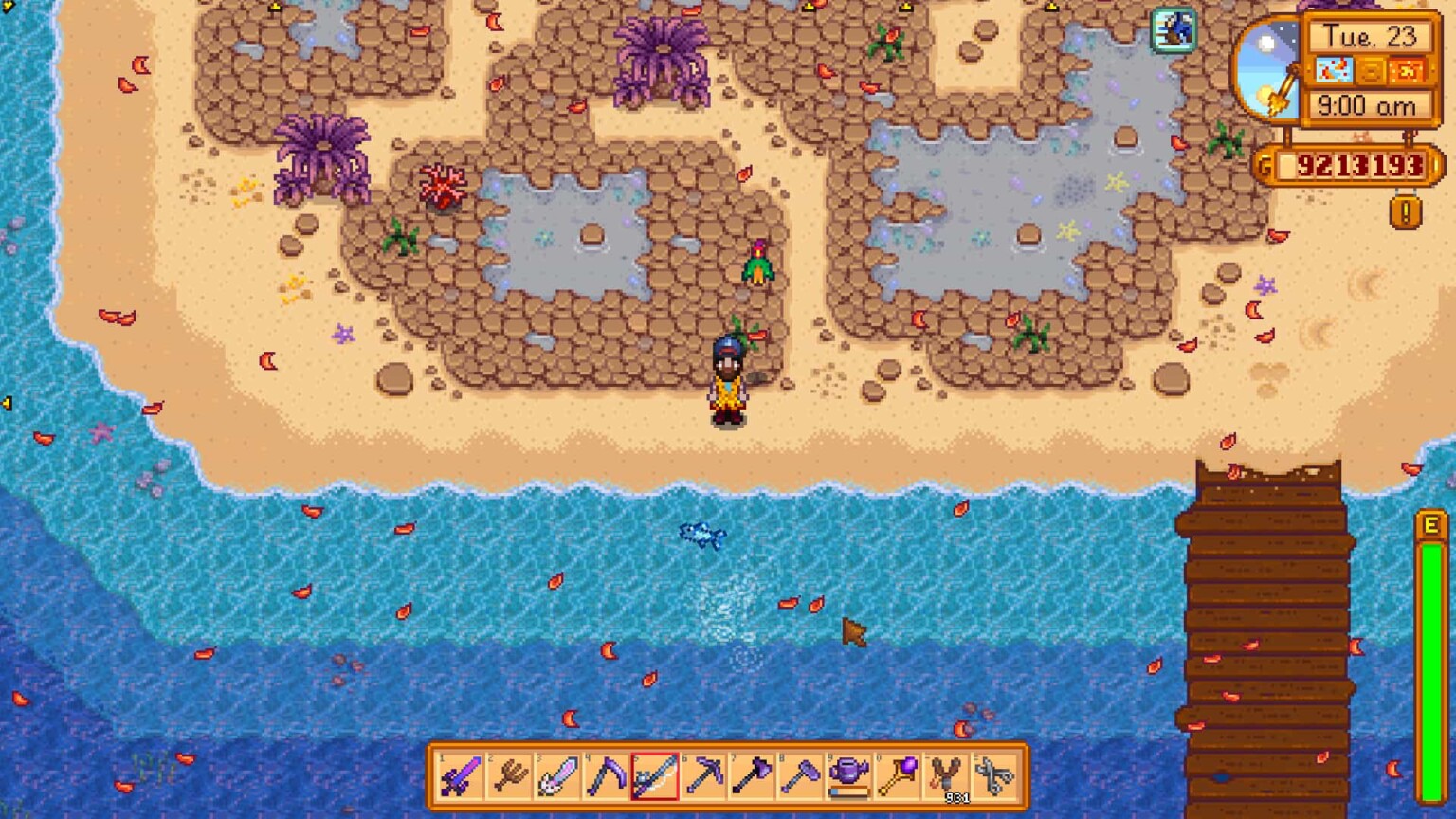 Stardew Valley Fish Frenzies Guide - Hold To Reset