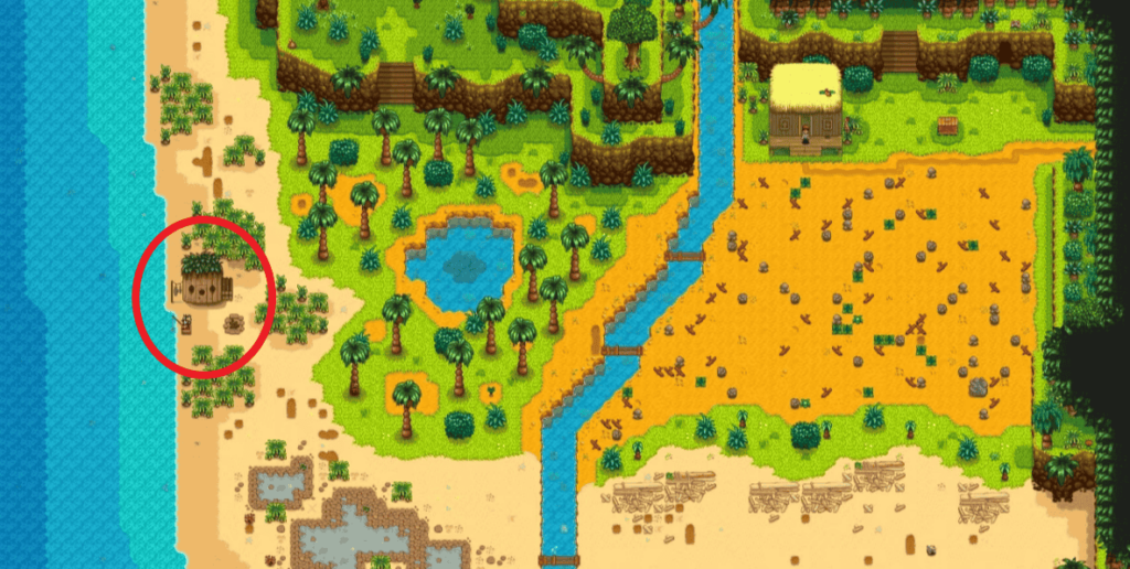 Stardew Valley The Pirate's Wife Guide | Hold To Reset