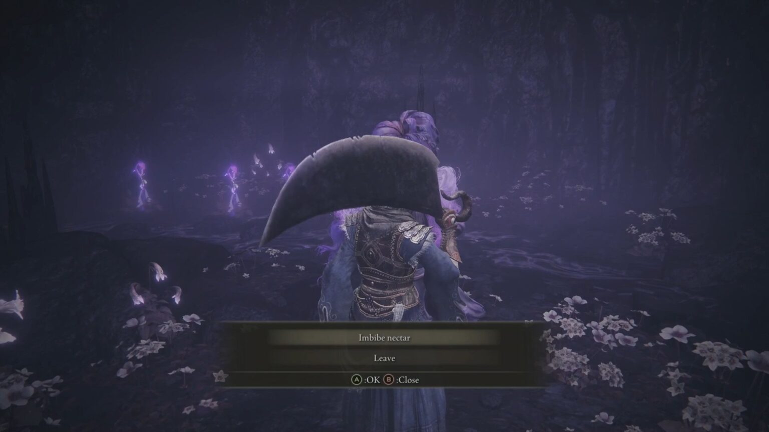 Elden Ring Shadow of the Erdtree St. Trina Quest Guide | Hold To Reset